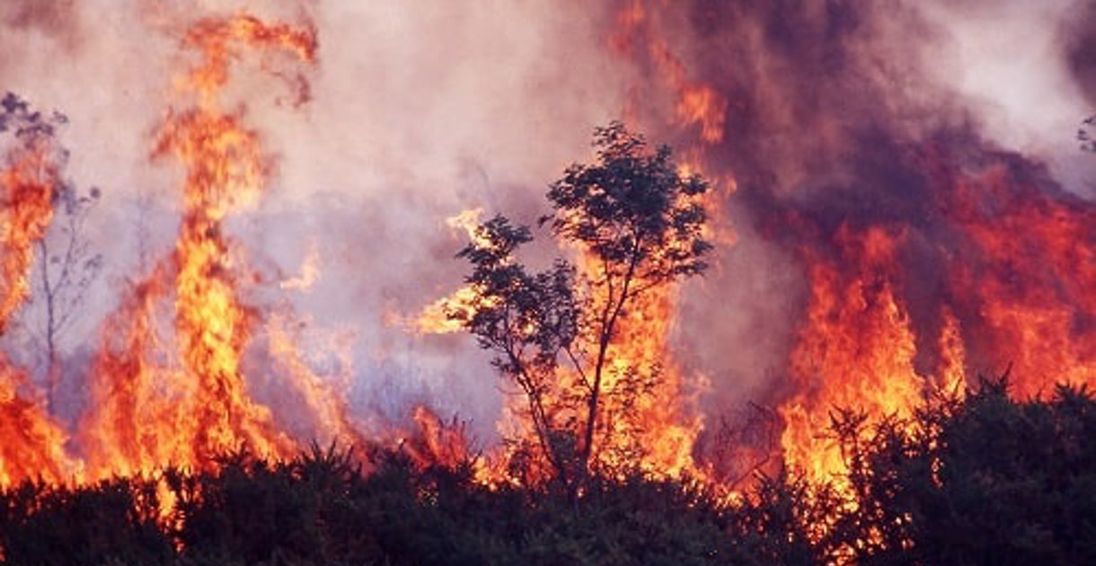 World on brink of ‘irreversible climate disaster’, scientists warn ...